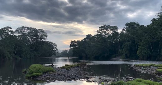 Alexander News Network (ANN): Trump's War 2.0 for America | Dr. Paul ...