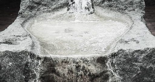 Good Shepherding | Lianna Chong | Substack