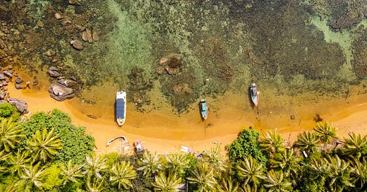 Vietnam Weekly | Michael Tatarski | Substack