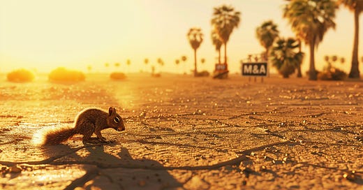 Blind Squirrel Macro | The Blind Squirrel | Substack