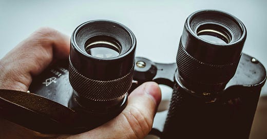 BSBSH | Ruth Hill ♿♀🏳️‍🌈🐾 🏴󠁧󠁢󠁷󠁬󠁳󠁿 🇿🇦 | Substack