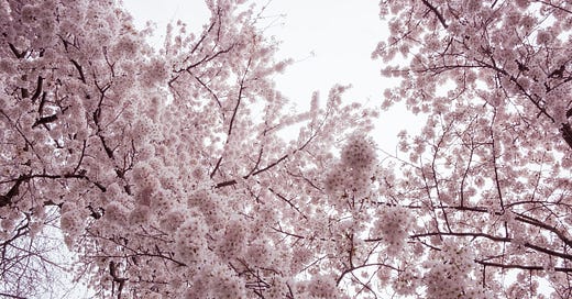 Letters by Deepa | Deepa Paul | Substack