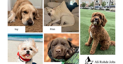 Ali Rohde Jobs | Substack