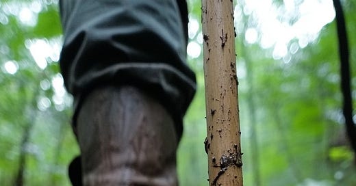 The 'Muddy Boots' Blog with A. Thomas Kozubal | Substack