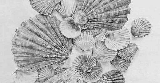 The Commonplace | Thomas J Bevan | Substack