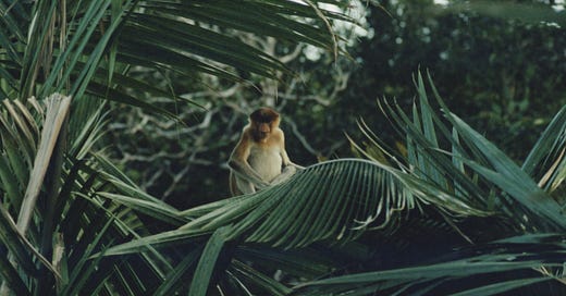 The Unwrinkling Roundup | Whitney Bauck | Substack