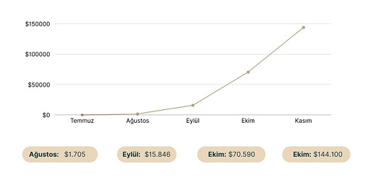 Mehmet Tek | Substack