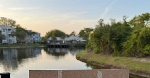 Behind the Easel | Megan Forde | Substack