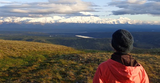 Touching the Elephant | Kendall Lamb | Substack