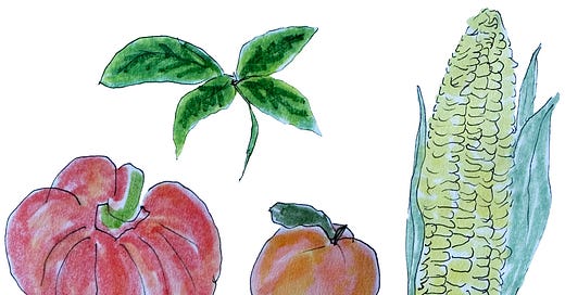 The Perfect | Substack