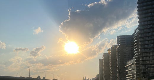 Books I Love | Claire Cameron | Substack