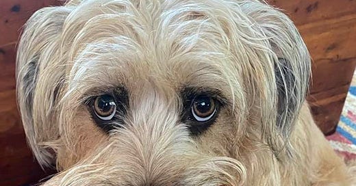 The Positive Pen | John Rinaldo | Substack