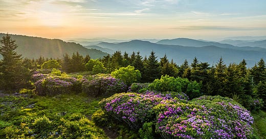 The Half Marathoner | Terrell Johnson | Substack