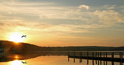 TRANSFORM with Marianne Williamson | Substack