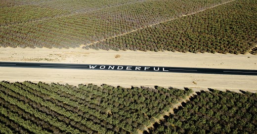 Lewis Enterprises | Hunter | Substack