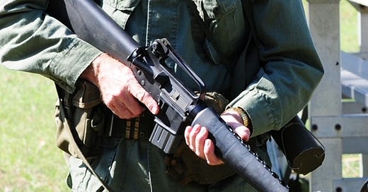 Katten mot strömmen – Katerina Janouch | Substack