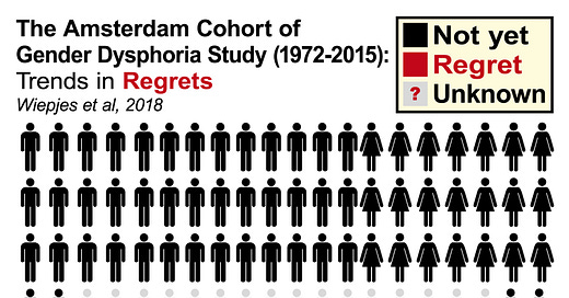 Inspecting Gender | Substack