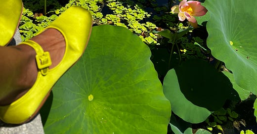 The Hood Healer’s Substack | Substack