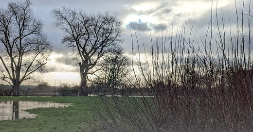 Inside Salisbury | Substack