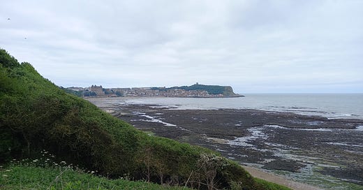 We Are Northern | Lizzie Lovejoy | Substack