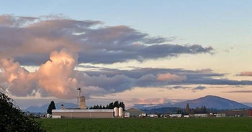 It's About Time | Angela L Hoy | Substack