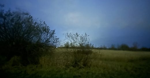 Collapse Curriculum | Justin McAffee | Substack