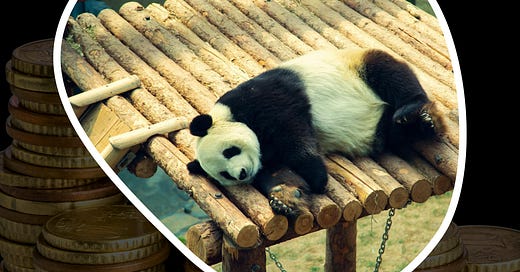 Healthy Rich | Dana Miranda | Substack