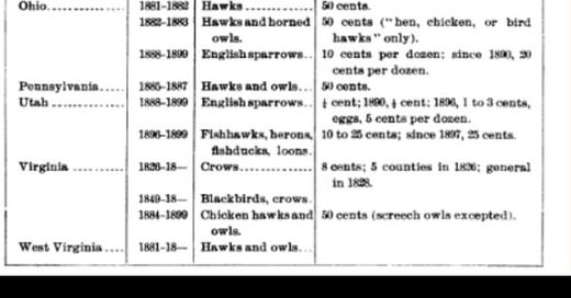 This Week in Birding | Bob Dolgan | Substack