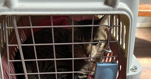 The Truth Barrier | Celia Farber | Substack