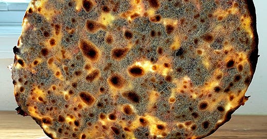 Pizza Every Friday | Alexandra Stafford | Substack