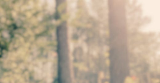 olivet. | Ollie Burgess | Substack