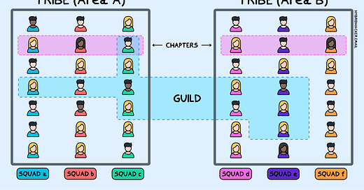 The Anatomy of a Successful Team Squad - by Nicola Ballotta