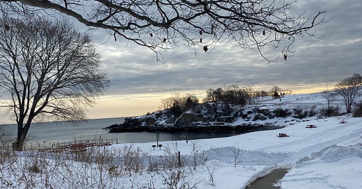 Practicing | Lynn Steger Strong | Substack