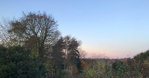 Diary Of Amy Rigby | Substack