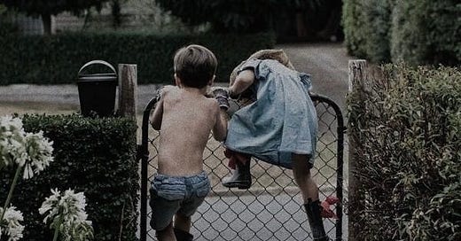 Cartas ao Condado | Elton Luiz | Substack