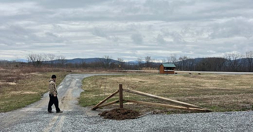 House of Green | Alexandra Fasulo | Substack