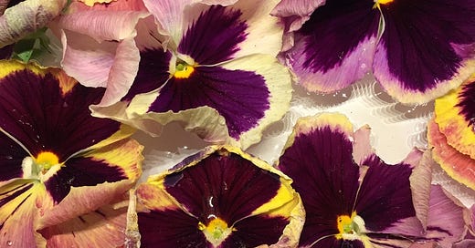 Lizzy’s Substack | Lizzy House | Substack