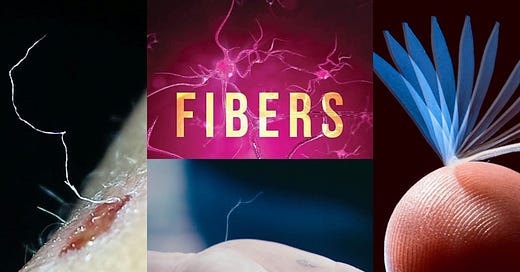 FM8’s Substack | Substack