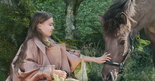 The Orange & Bee | Substack