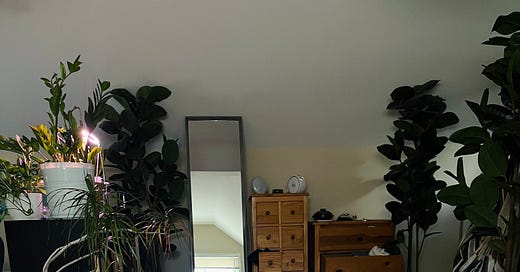 Juliebeans | Julie Beans | Substack