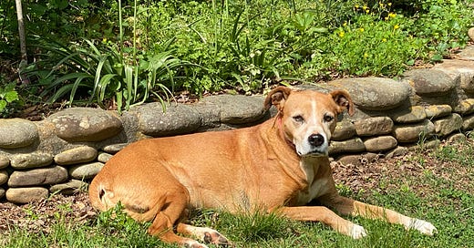 Archive - Coming Down to Earth with Barbara Brown Taylor