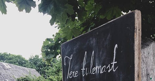 Over a cup of coffee | Luna Willow | Substack