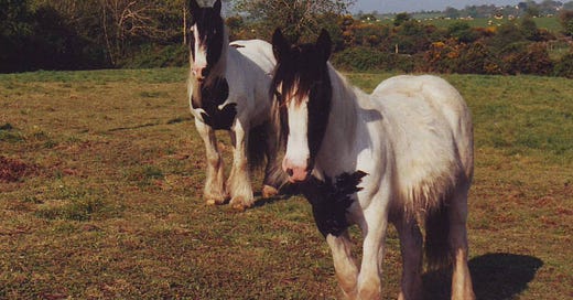 Michael’s Substack | Michael Patrick O’Leary | Substack