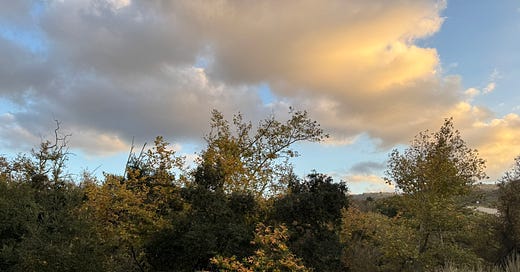 方舟子Shimin’s Substack | 方舟子Shimin Fang | Substack