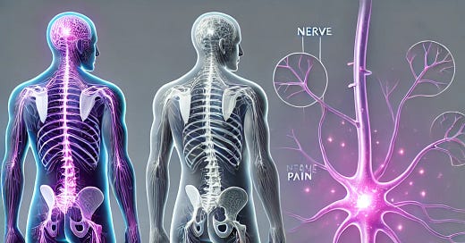 “Understanding Nerve Injury: A Practical Guide to Nerve Injury ...