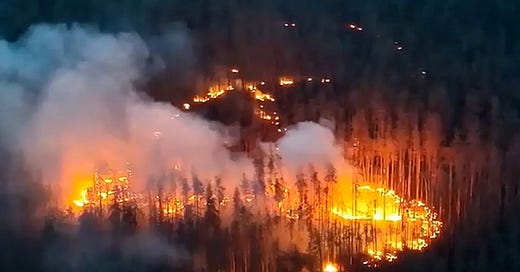 Downrange Data | Erik Davis | Substack