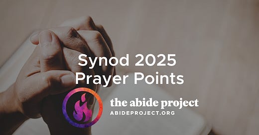 Synod 2025 Prayer Points - The Abide Project