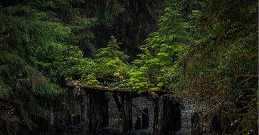 LampPost Victoria | Substack