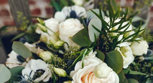 Home Joys | Gina Martin | Substack