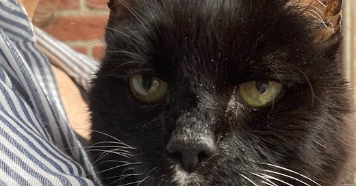 The Old Curmudgeon | Jon Margolis | Substack